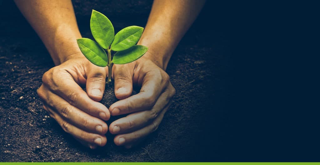 Corporate Social Responsibility: What It Is and How to Adopt It