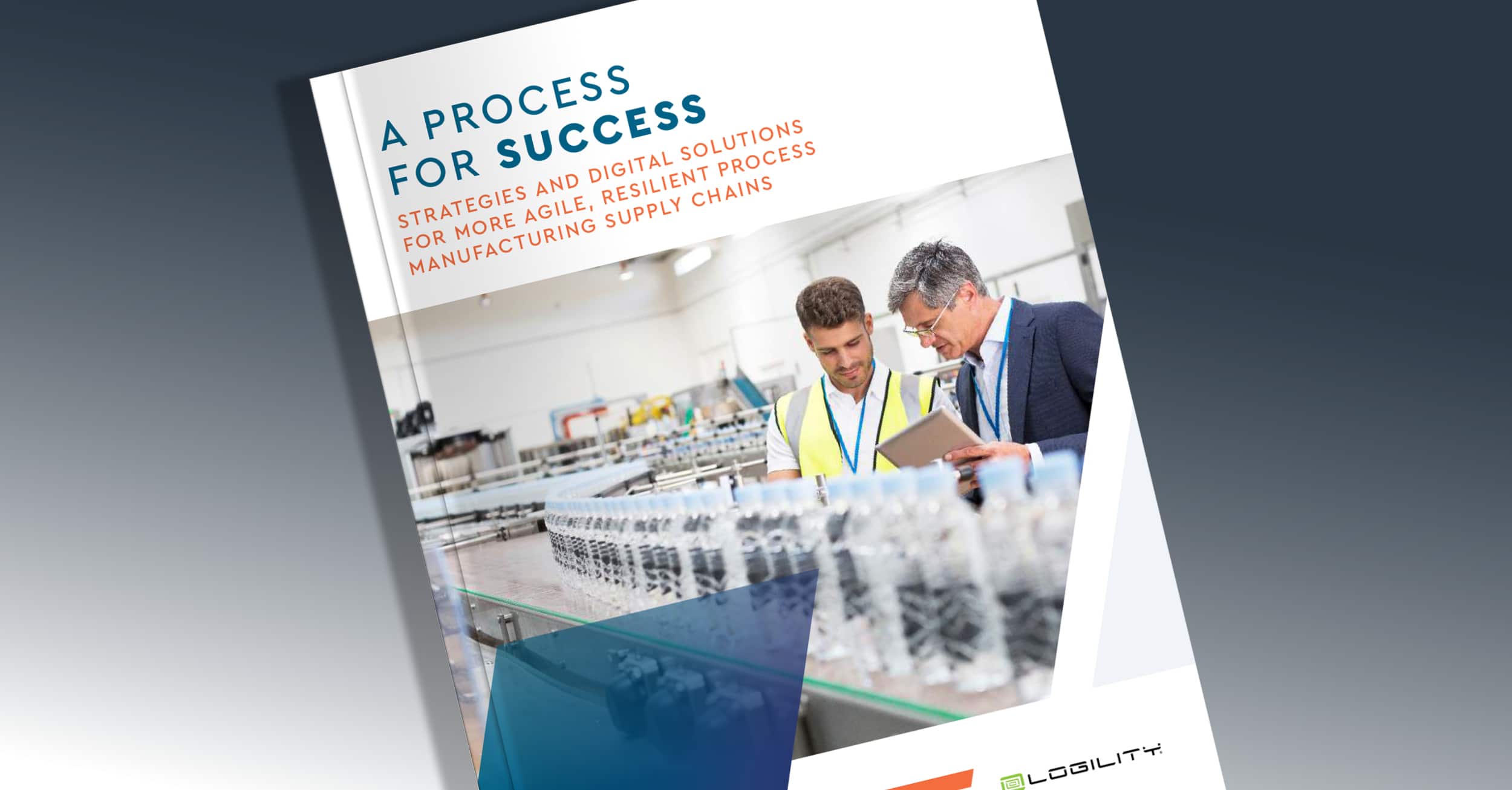 A Process for Success: Strategies and Digital Solutions for More Agile ...